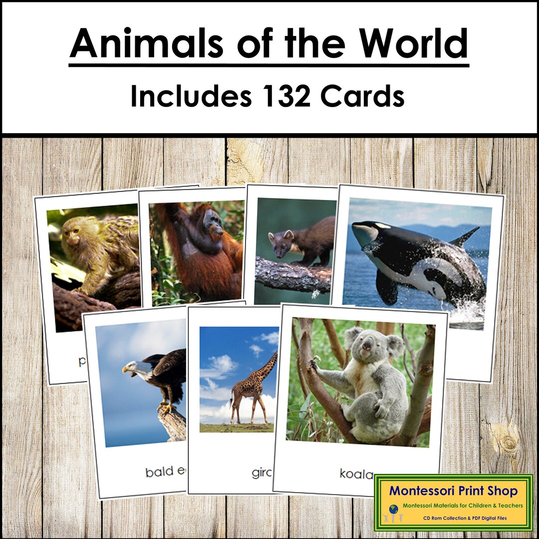 Animals of the World 3-part Cards Bundle - Montessori Zoology ...