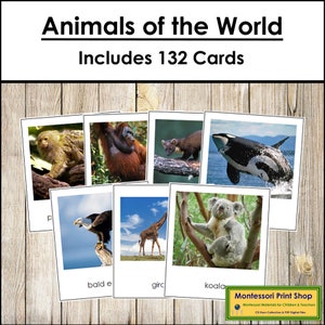 Animals of the World 3-part Cards Bundle - Montessori Zoology ...