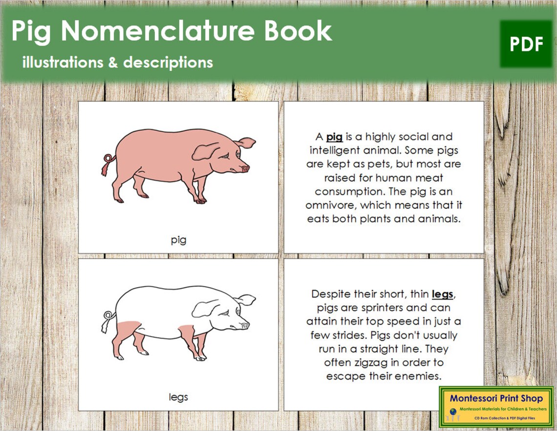 Parts of a Pig Nomenclature Book Montessori Zoology | Etsy