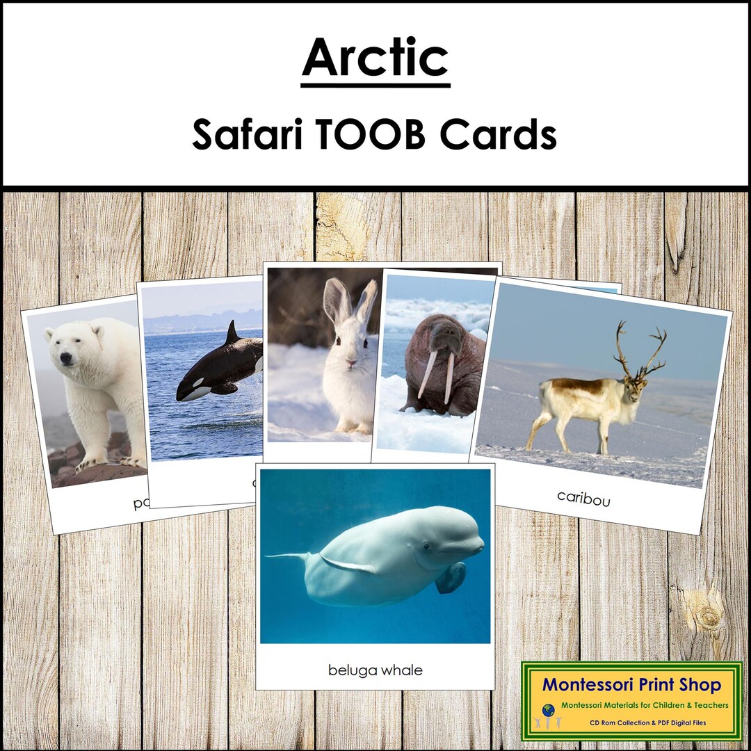 Arctic Safari TOOB Cards - Montessori 3-part Cards (digital Download ...