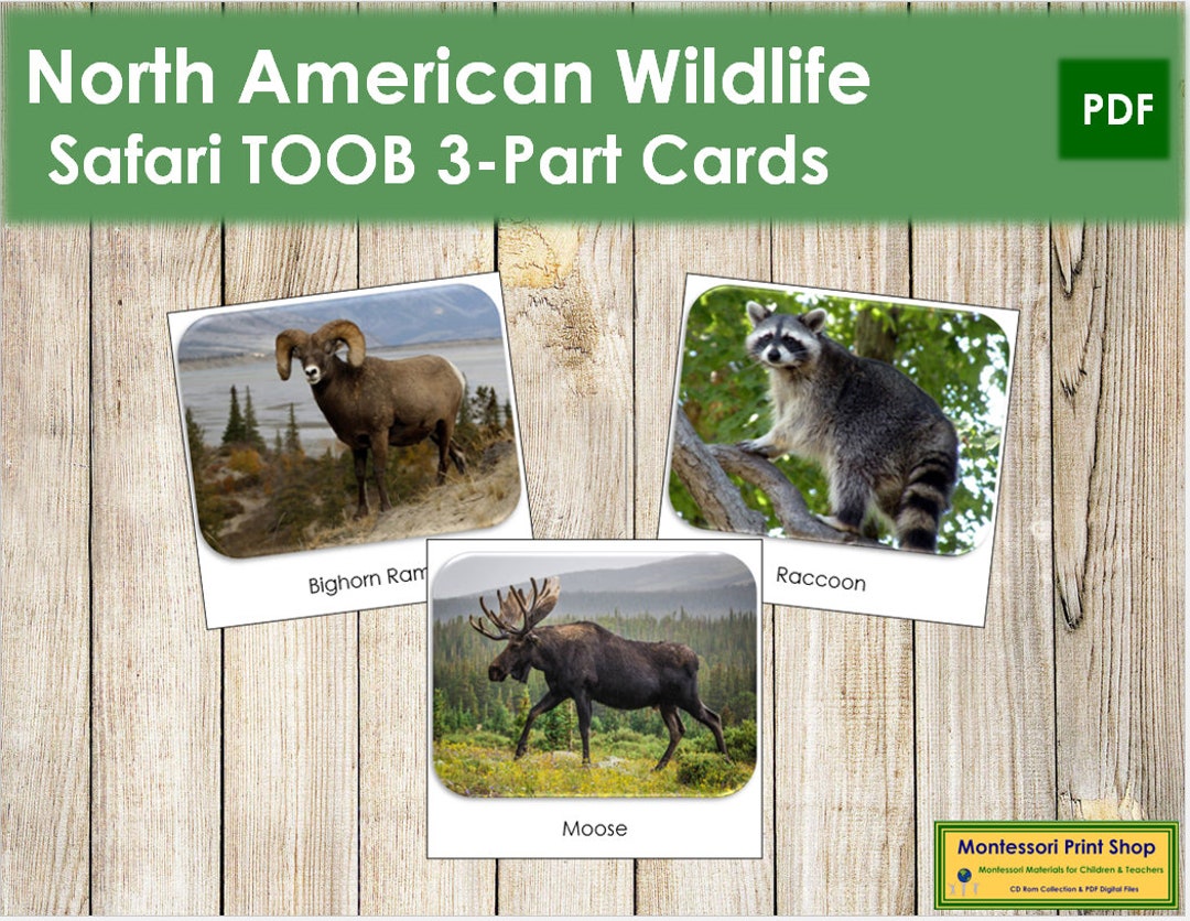 North American Wildlife Safari TOOB Cards Printable - Etsy