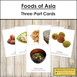Montessori Foods of Asia 3-part Cards - Geography Continent Cards ...