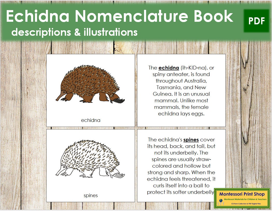 Parts of an Echidna Nomenclature Book Montessori Zoology - Etsy UK