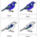 Parts of a Bird Nomenclature 3-part Cards - Montessori Zoology ...