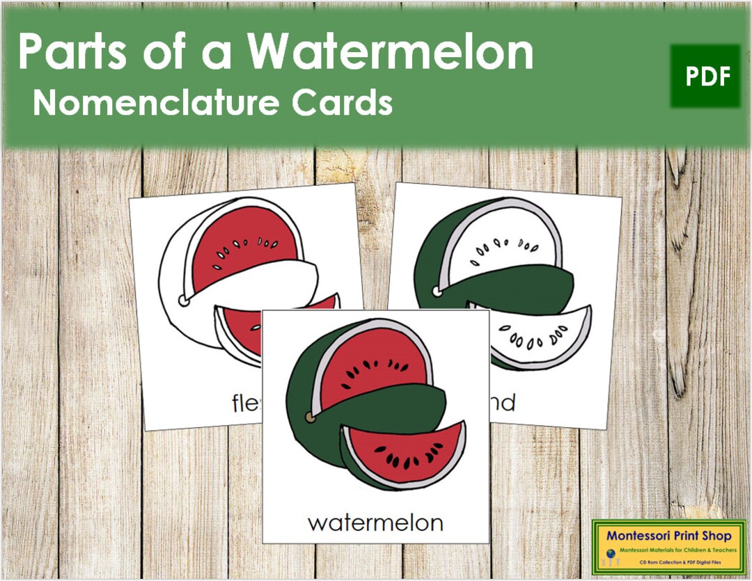 Parts of a Watermelon Nomenclature 3-part Cards Botany - Etsy