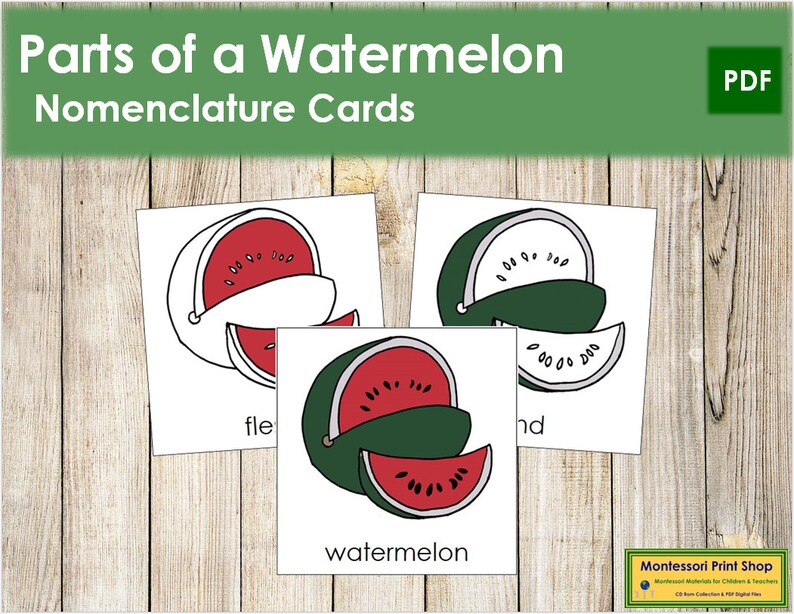Parts of a Watermelon Nomenclature 3-part Cards Botany - Etsy