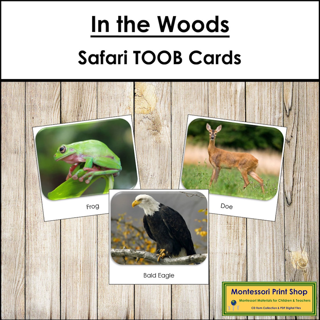 In the Woods Safari TOOB Cards - Montessori 3-part Cards (digital ...