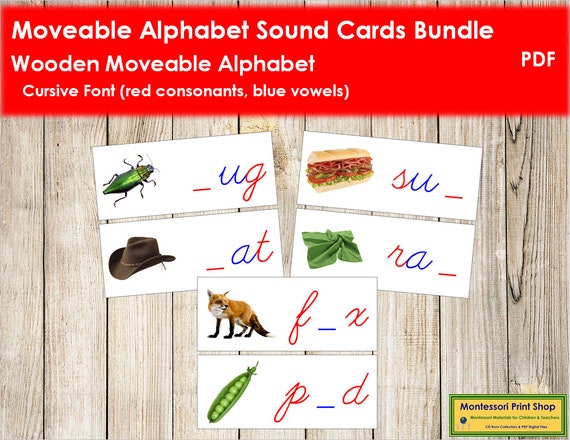 Wooden Moveable Alphabet Sound Cards Bundle Red/Blue cursive | Etsy