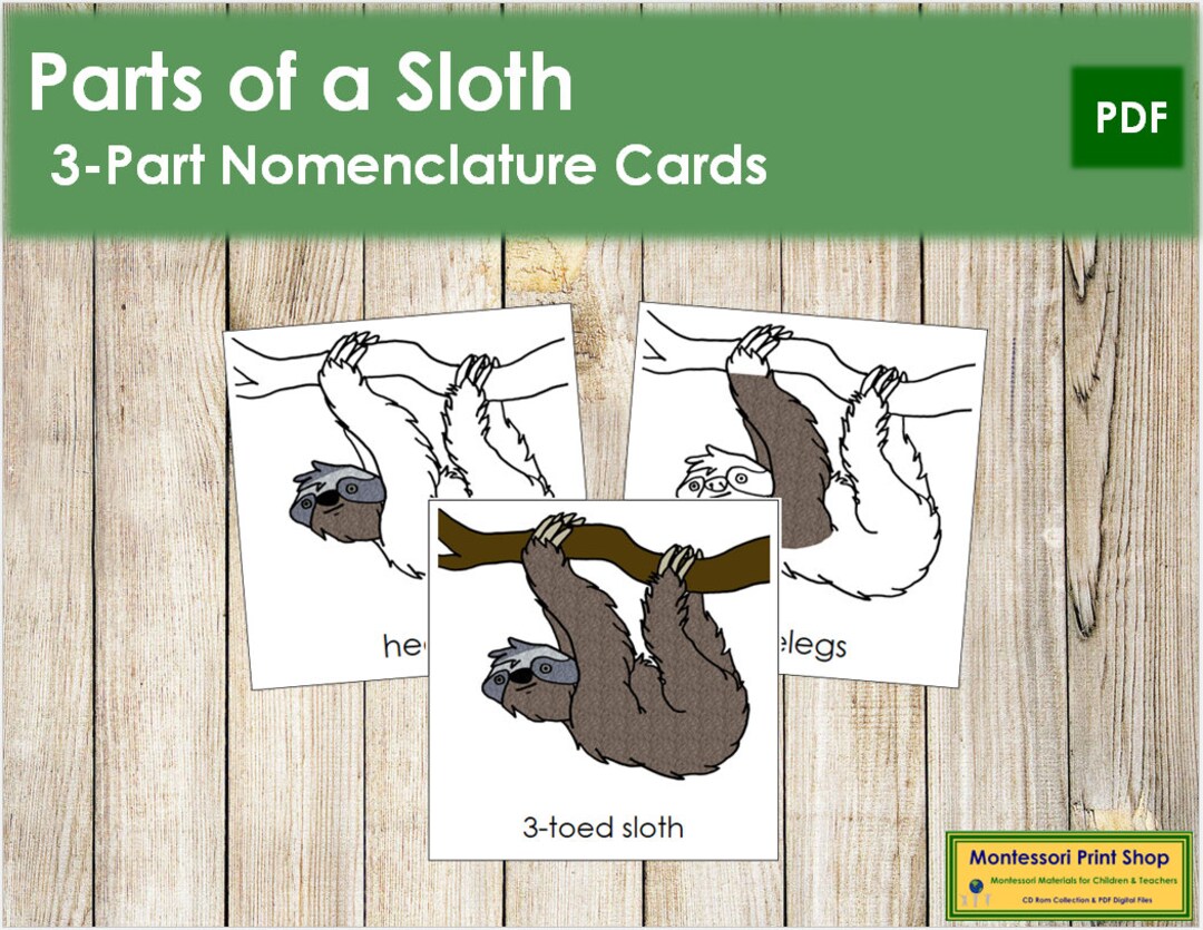Parts of a Sloth Nomenclature 3-part Cards Zoology - Etsy