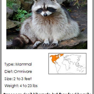 Animals of North America Facts & Picture Cards (color-coded ...