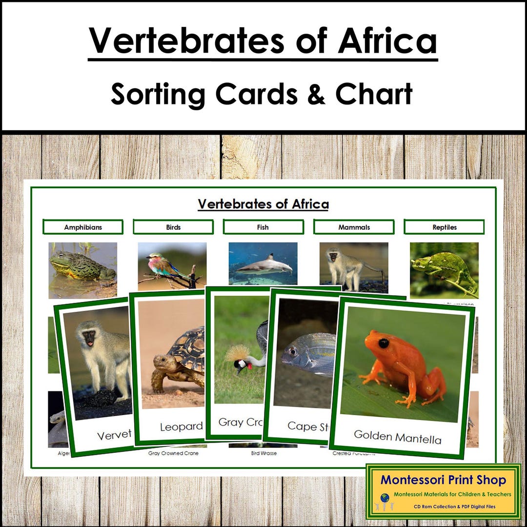 Montessori Vertebrates of Africa Sorting Cards & Chart [color-coded ...