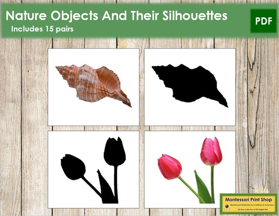 Silhouette Matching Cards nature Objects Printable - Etsy