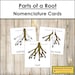 Parts of a Root Nomenclature 3-part Cards Montessori Botany Printable ...