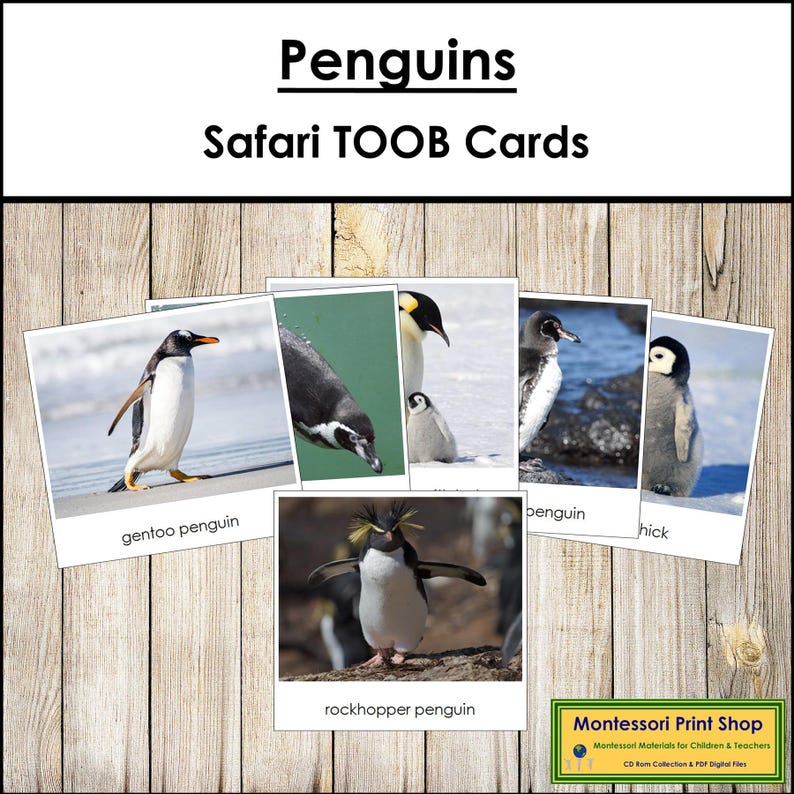 Penguins Safari TOOB Cards - Montessori 3-part Cards (digital Download ...