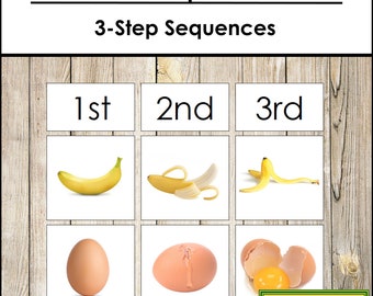 4 SEASONS 36 Editable Montessori Cards Flash (Instant Download) - Etsy