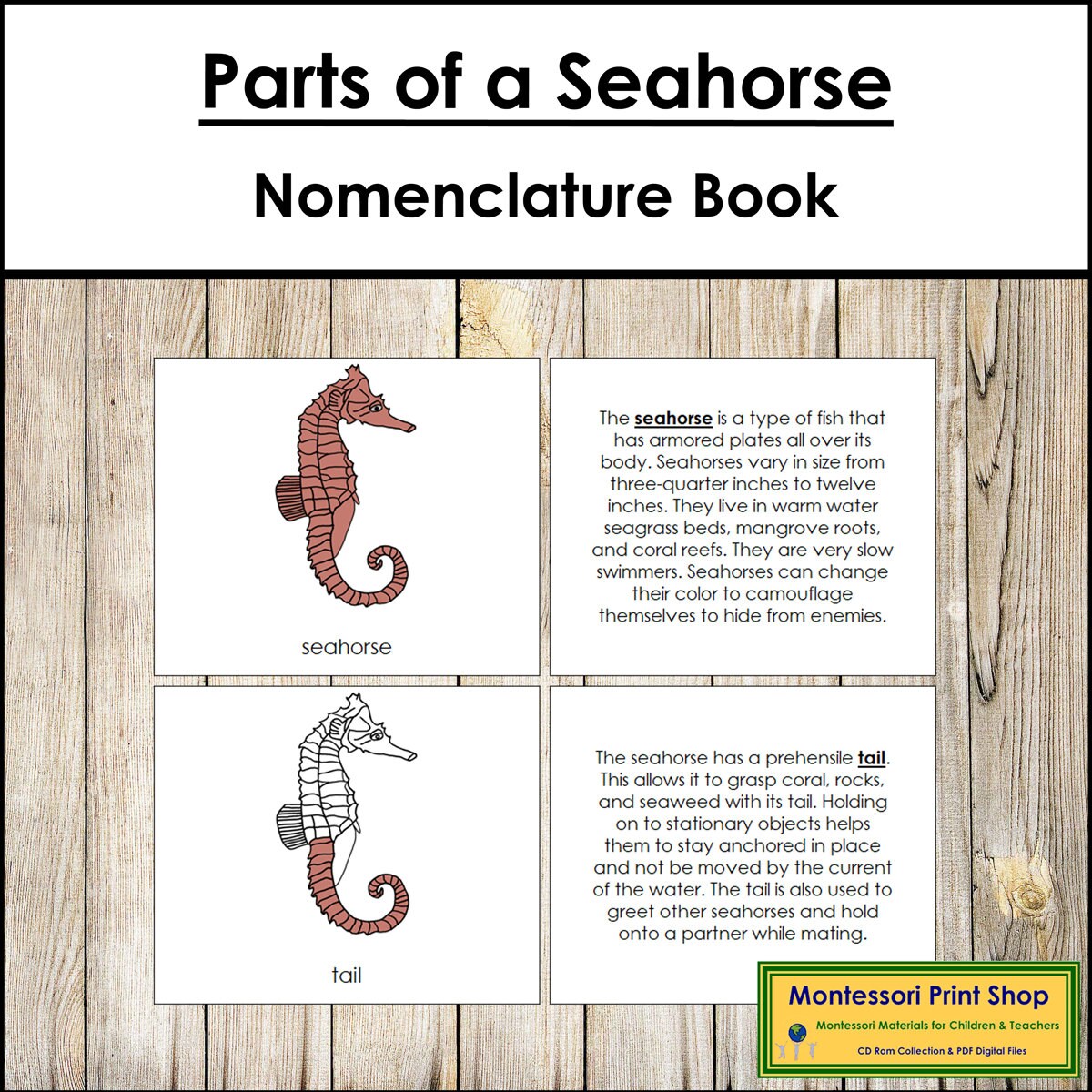 Parts of a Seahorse Nomenclature Book Montessori Zoology Printable ...