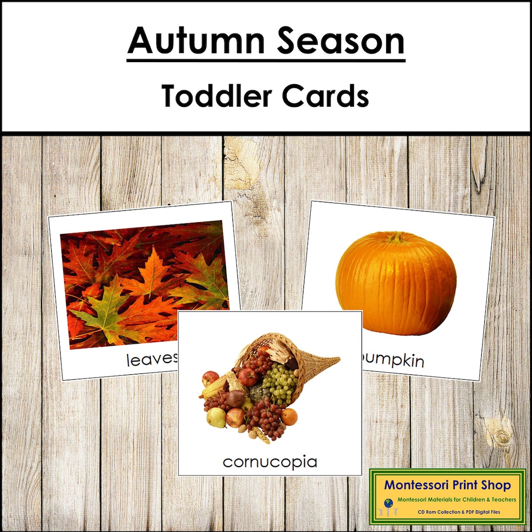 Autumn Season Cards - Printable Toddler Montessori Materials - Digital ...