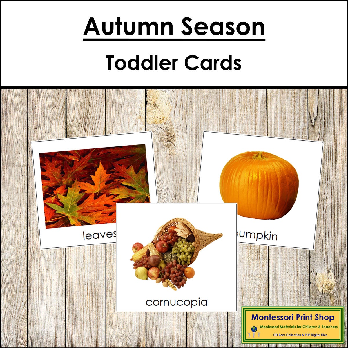 Autumn Season Cards Printable Toddler Montessori Materials Digital ...