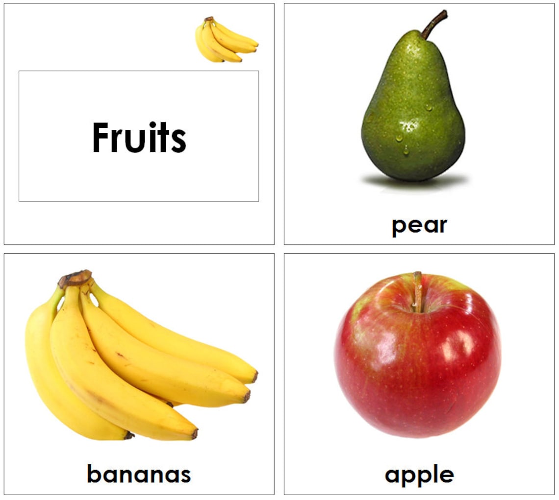 Fruit Cards Printable Toddler Montessori Materials Digital - Etsy