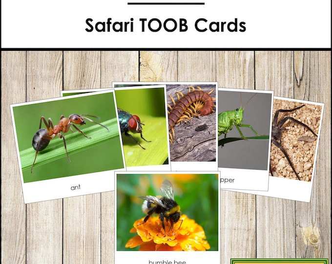 Flowers Toob - Safari LTD Identification Cards - Etsy Canada