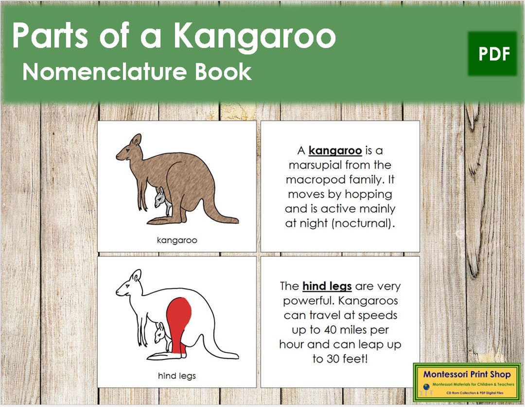 Parts of a Kangaroo Nomenclature Book RED Montessori - Etsy Australia