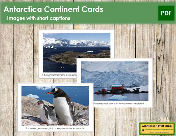 Antarctica Continent Cards Montessori Geography Printable | Etsy