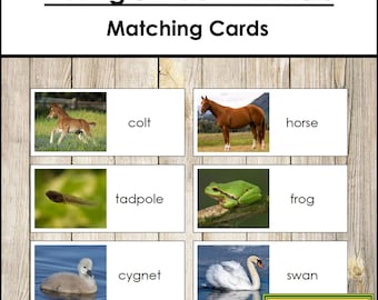 Animal Movement swim Walk & Fly Zoology Printable - Etsy