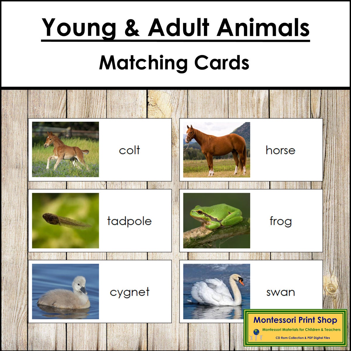 Young & Adult Animal Matching Cards Montessori Grammar - Etsy