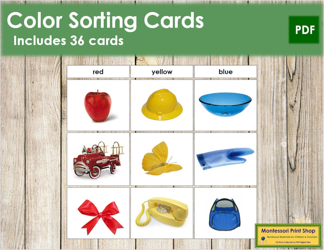 Color Sorting Cards Preschool Printable Montessori Cards - Etsy