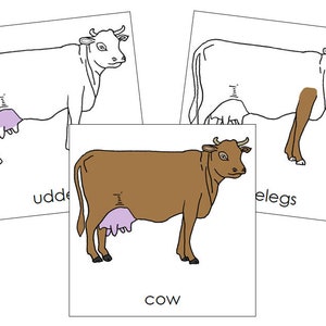 Parts of a Cow Nomenclature 3-part Cards - Montessori Zoology ...