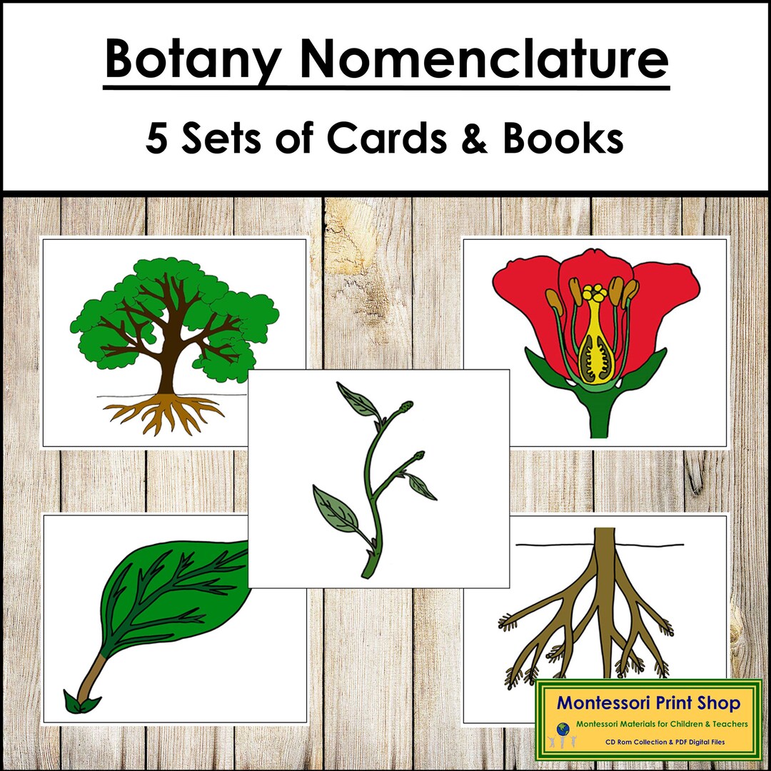 Botany Nomenclature Bundle Set 1 [3-part Cards, Blackline Masters ...