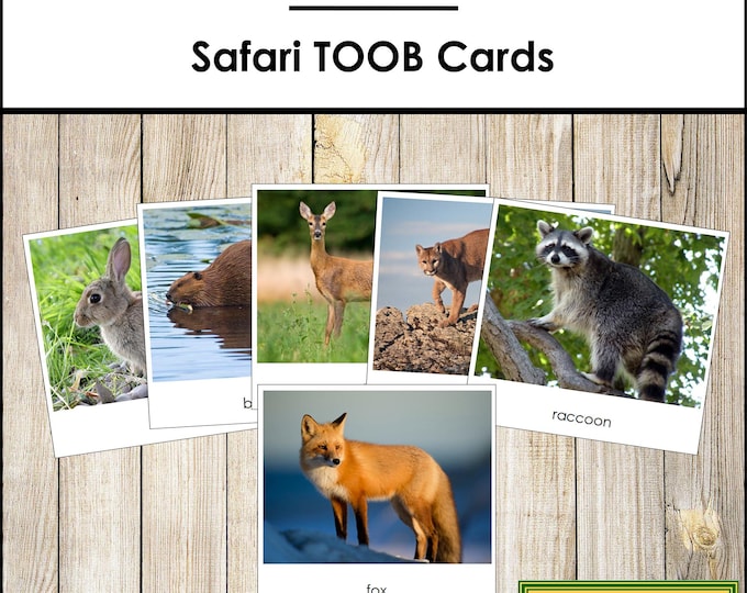 Flowers Toob - Safari LTD Identification Cards - Etsy Canada