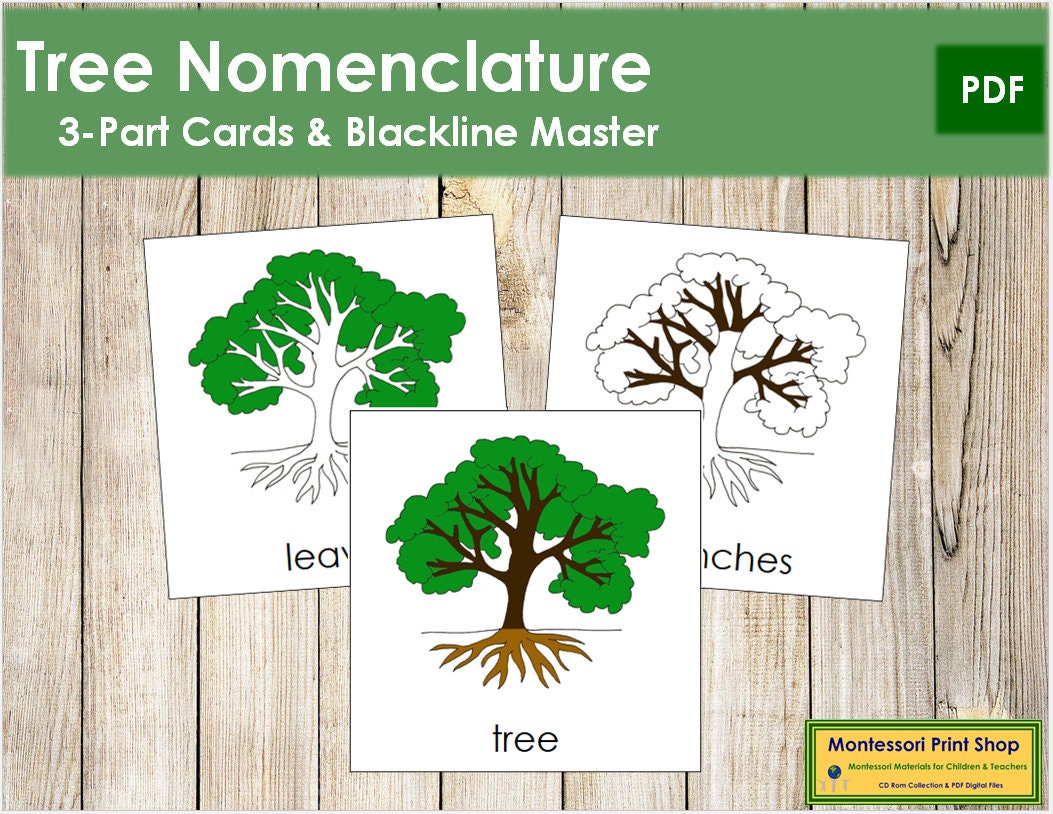 Clipart Of Landforms