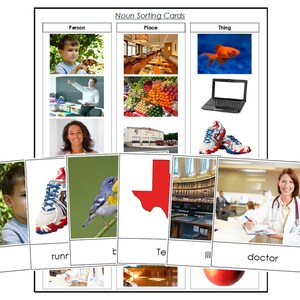 Noun Sorting Cards & Control Chart - Montessori Grammar (digital ...