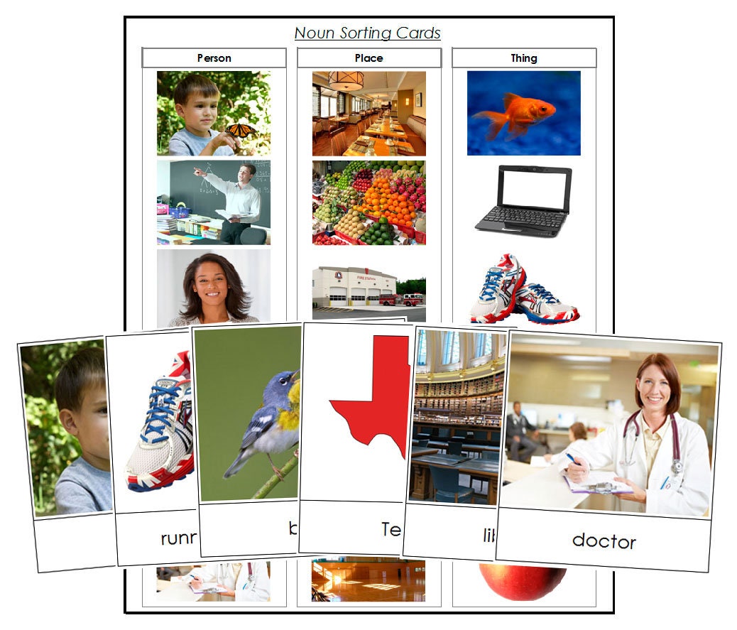 Noun Sorting Cards & Control Chart Montessori Grammar Printable ...