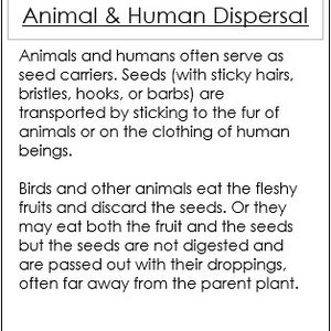 Pollination and Seed Dispersal Information & Photographs - Montessori ...