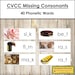 CVCC Missing Consonant Cards - Montessori Language (digital Download ...