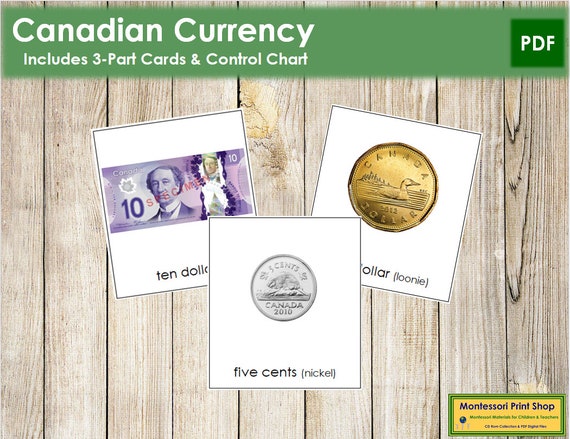 Canadian Currency Cards Printable Montessori Cards Digital | Etsy