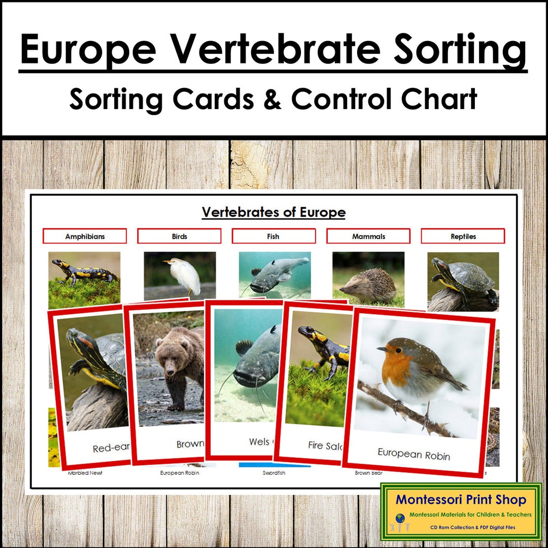 Montessori Vertebrates of Europe Sorting Cards & Chart [color-coded ...