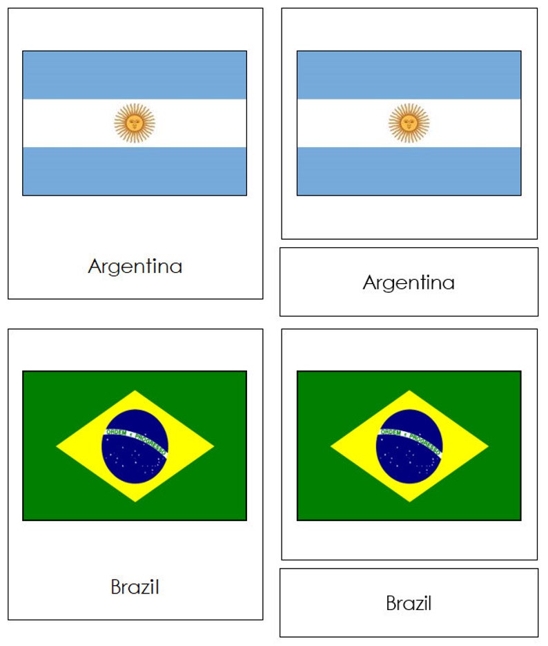 Flags of South America Montessori Continent Cards | Etsy