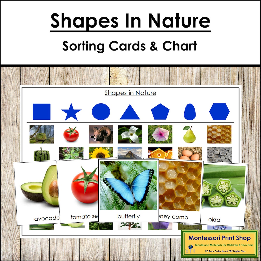 Shapes in Nature Sorting Cards & Control Chart - Montessori Geometry ...
