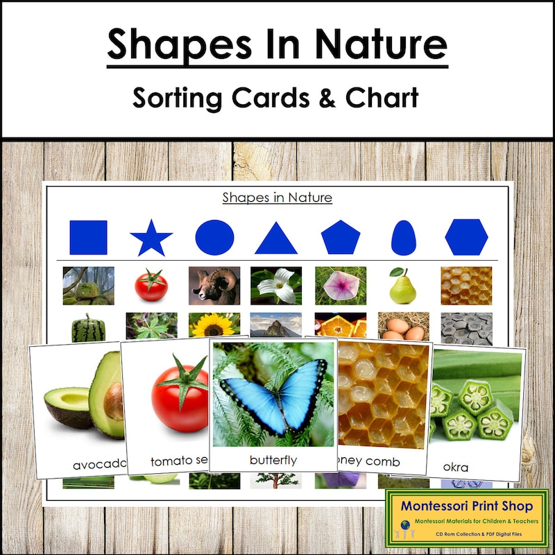 Shape Sorter - Etsy