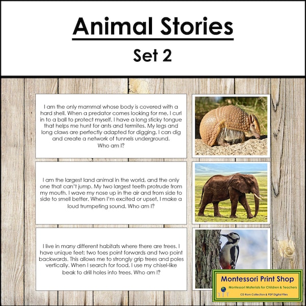 Animal Stories - Etsy