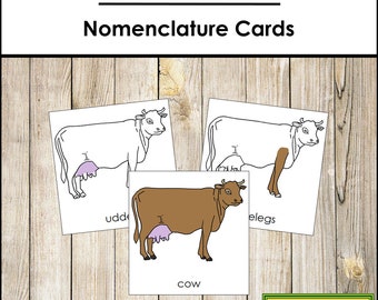 Montessori 3 Part Cards Parts of a Rhinoceros - Etsy