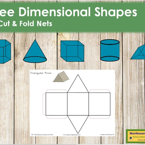 Three Dimensional Shapes Cut & Fold Nets Geometry - Etsy