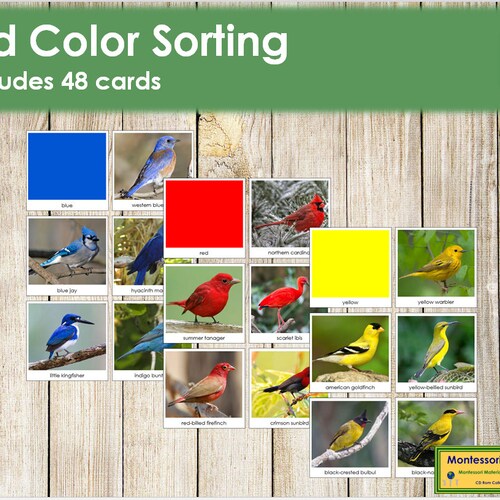 Bird Color Sorting Cards Montessori Sensorial Printable - Etsy