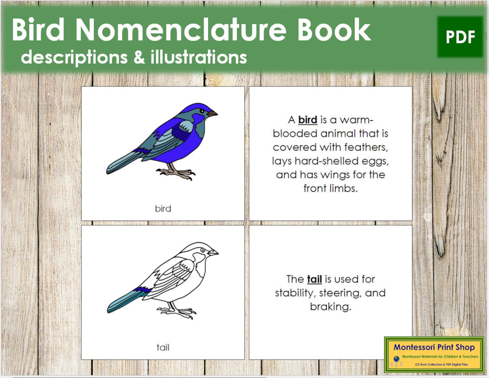 Parts of a Bird Nomenclature Book Montessori Zoology - Etsy