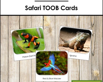 Rainforest Animals Matching Cards Digital Download - Etsy