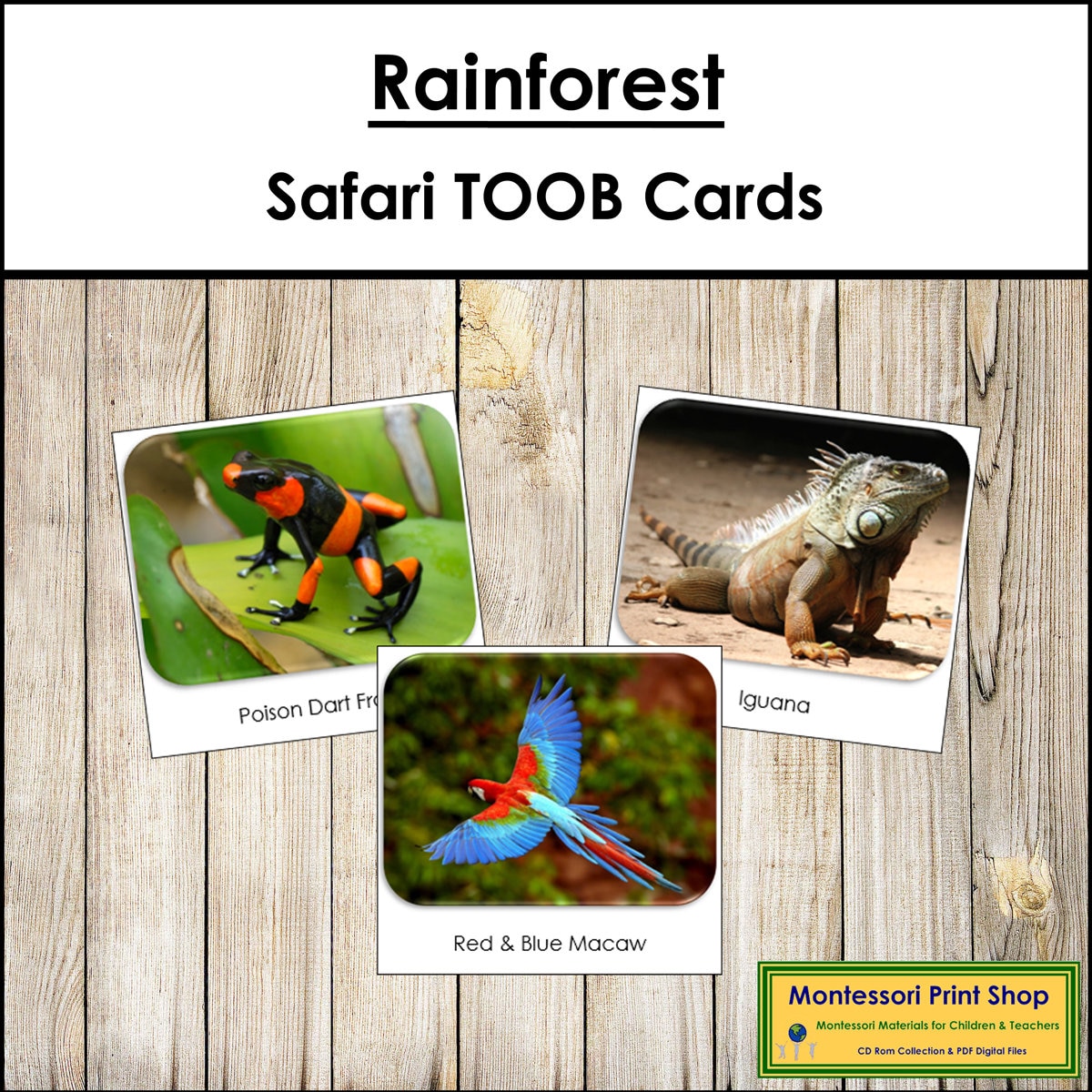 Rainforest Safari TOOB Cards Printable Montessori Cards - Etsy