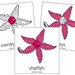 Parts of a Starfish Nomenclature 3-part Cards & Blackline Master ...
